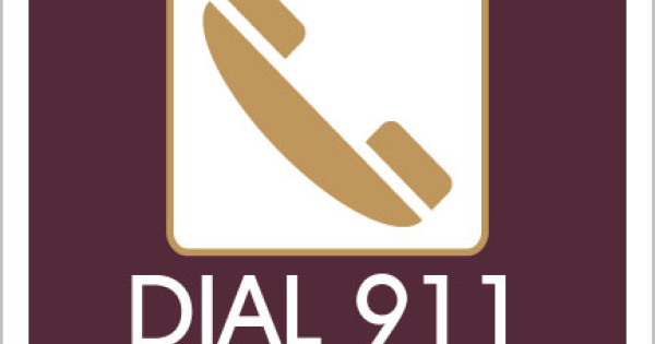 Pool Emergency Phone Sign